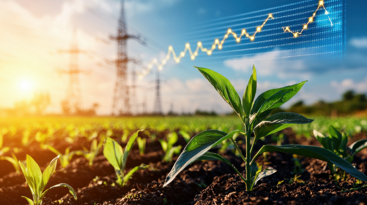 Trading the Fields: What's Fueling Agricultural Price Moves- and How ...