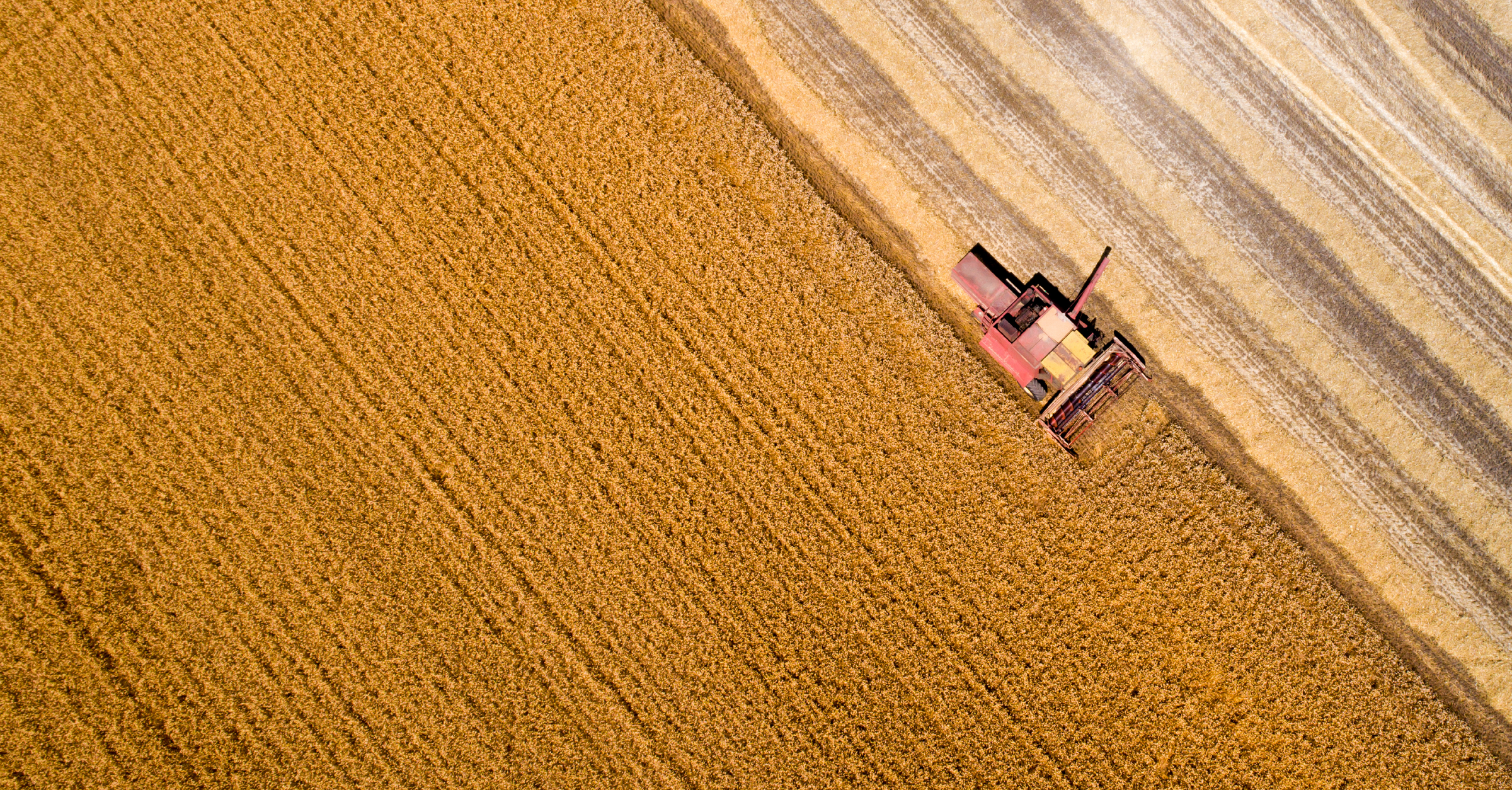 Which Agricultural ETF Might be Right for You? A Guide for Self ...
