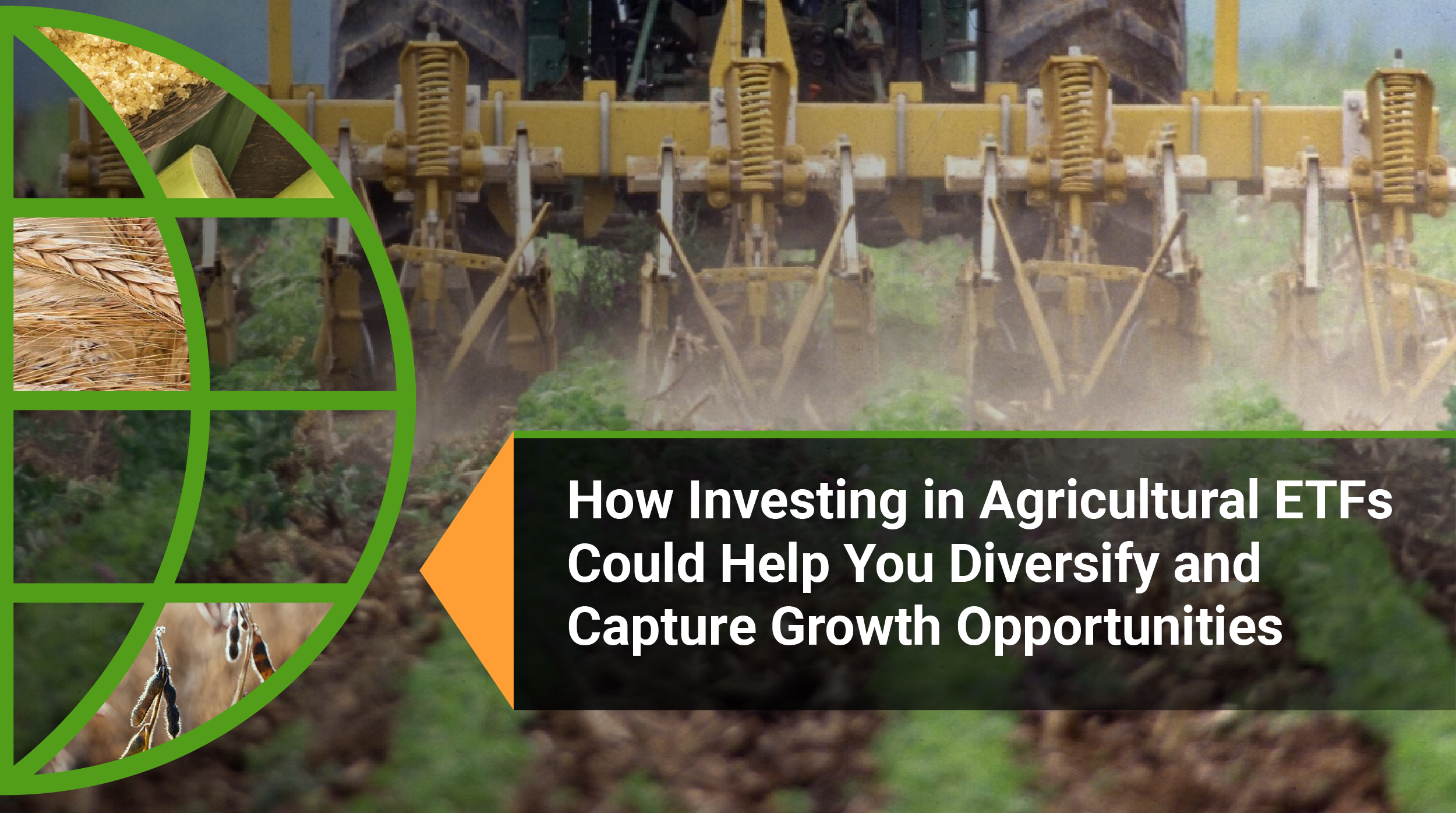 How Investing in Agricultural ETFs Could Help You Diversify and Capture ...