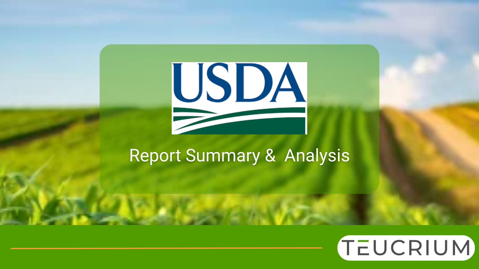 March Markets in Motion: What the USDA's Latest Data Means for Grains