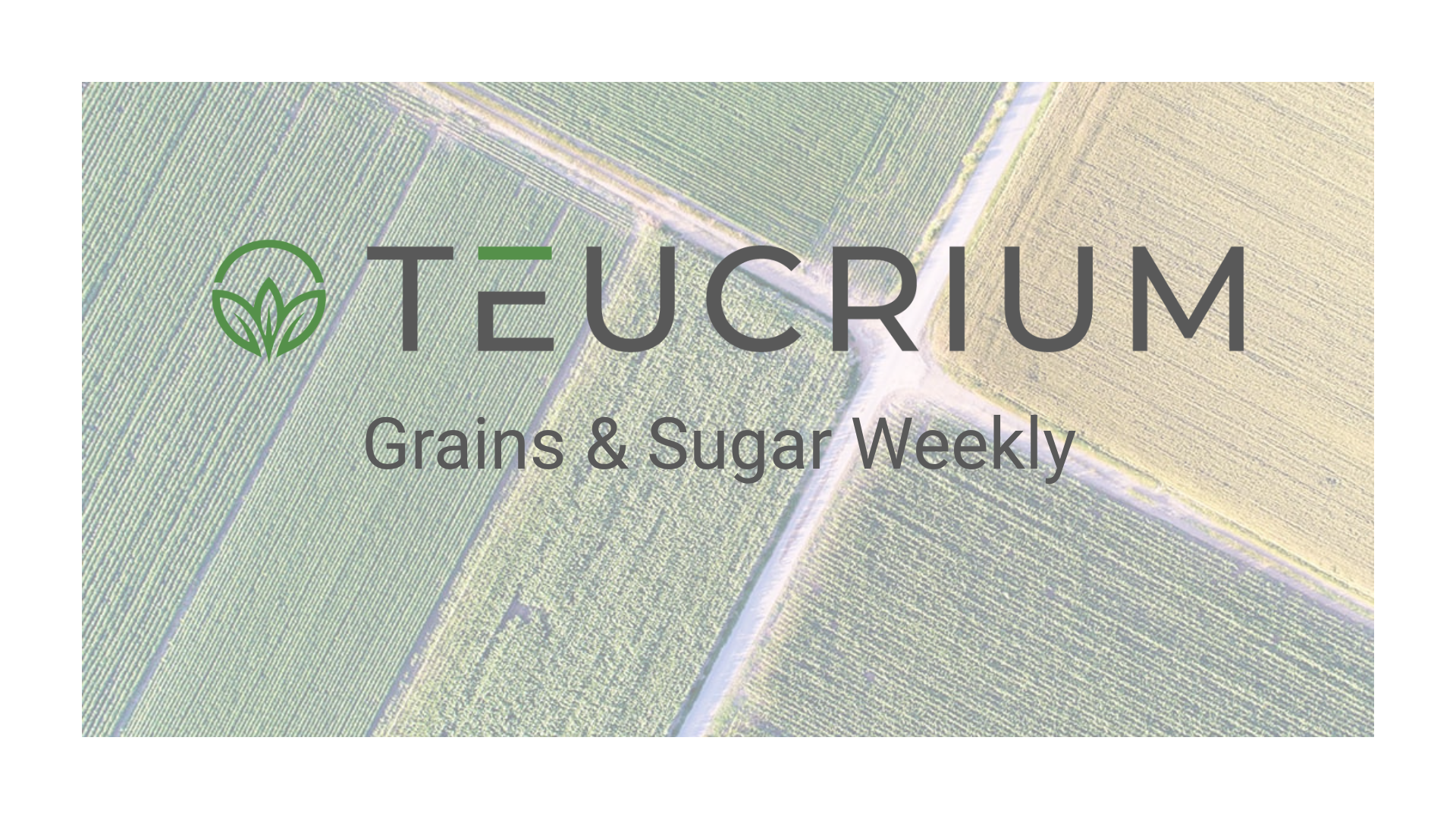 Grains & Sugar Weekly